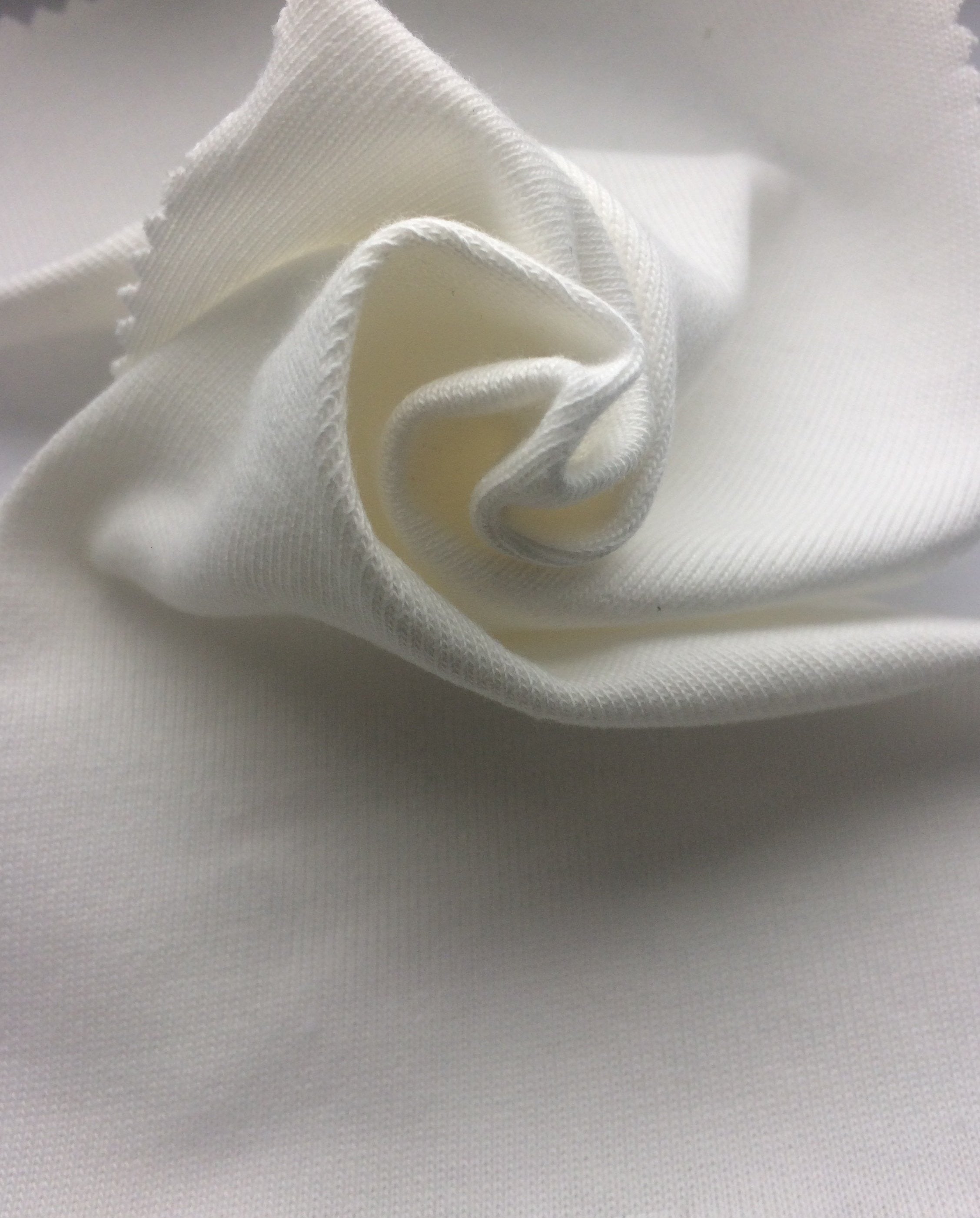 ORGANIC COTTON HEAVY JERSEY 300 GSM – California Textile